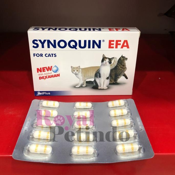 Jual Synoquin Efa Cat Suplemen Tulang Dan Persendian Kucing Per Kapsul ...