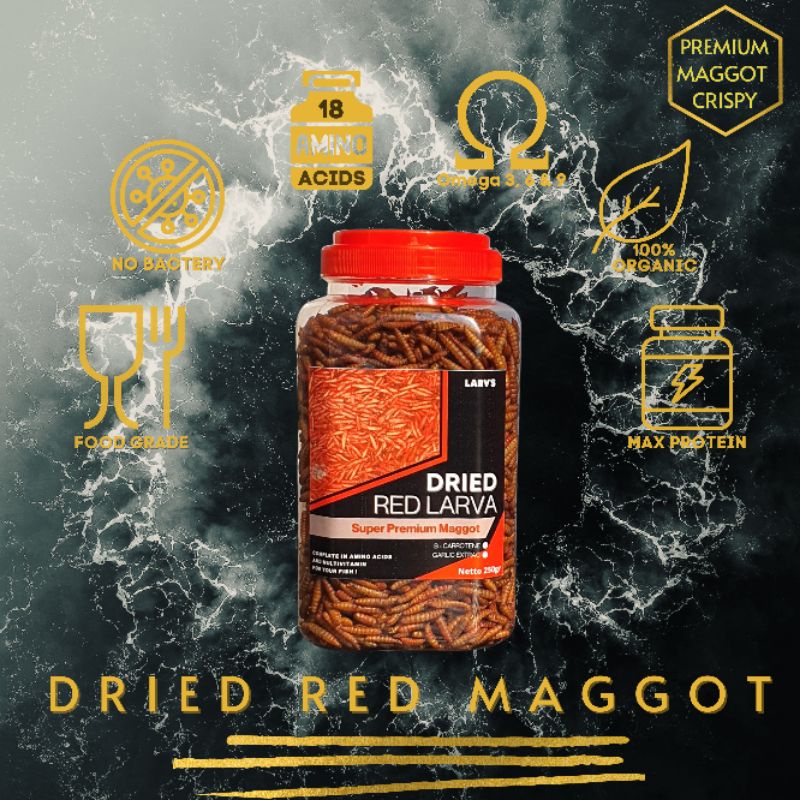Jual Maggot Kering RED DRIED MAGGOT with Real Astaxanthin Carrophyl Red ...