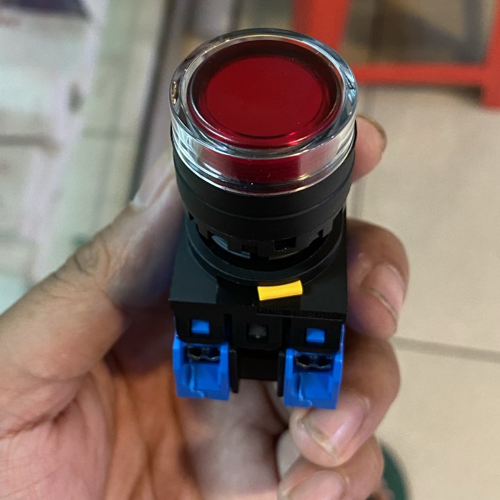 Jual Push button lamp IDEC 22mm momentary 220V 2NO | Shopee Indonesia