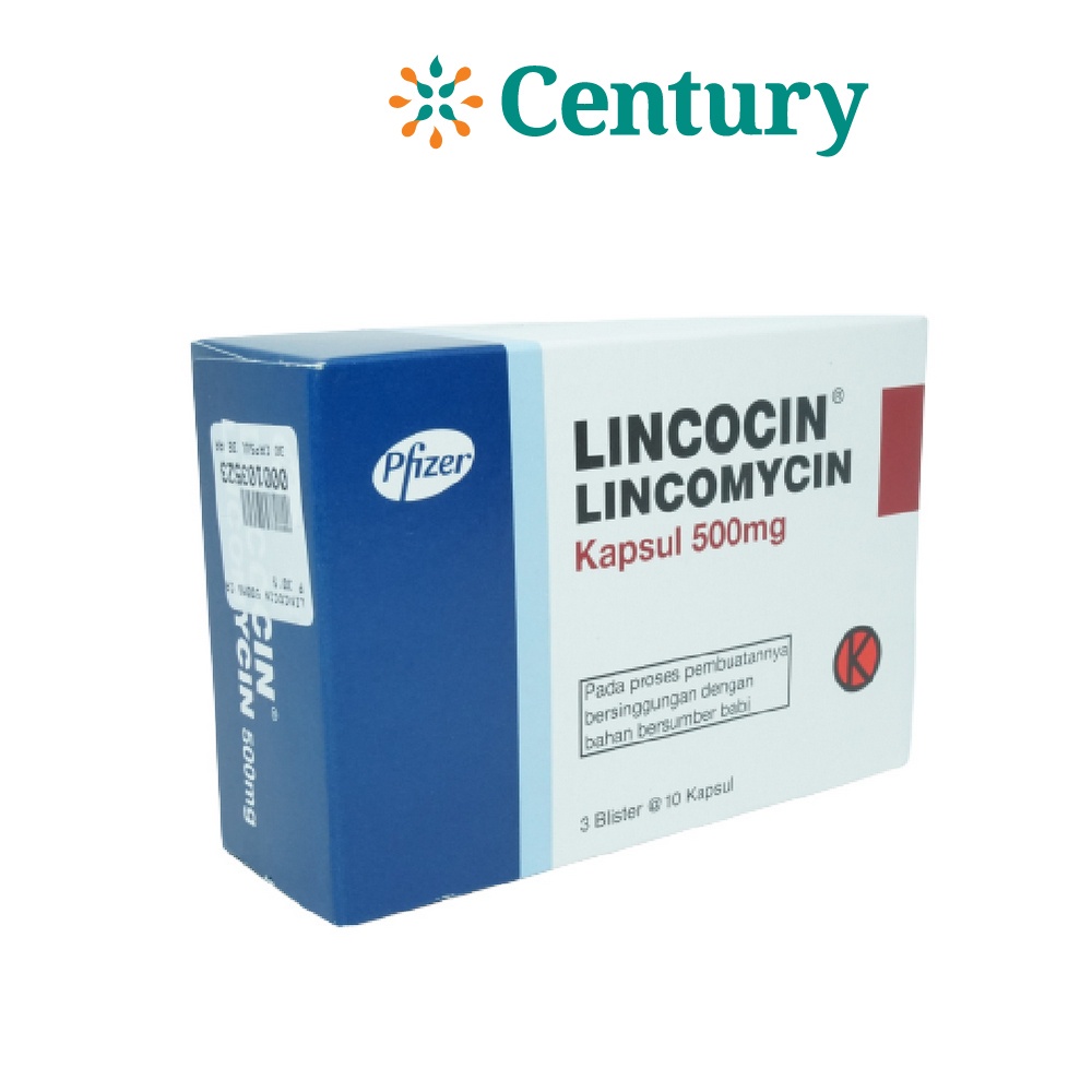 Jual LINCOCIN 500 MG 1 BLISTER ISI 10 KAPSUL / LINCOMYCIN / ANTIBIOTIK ...