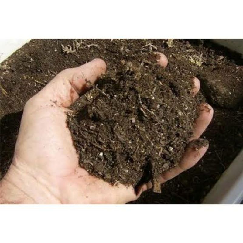 Jual Spora kotoran sapi/Bahan masrum 1kg | Shopee Indonesia