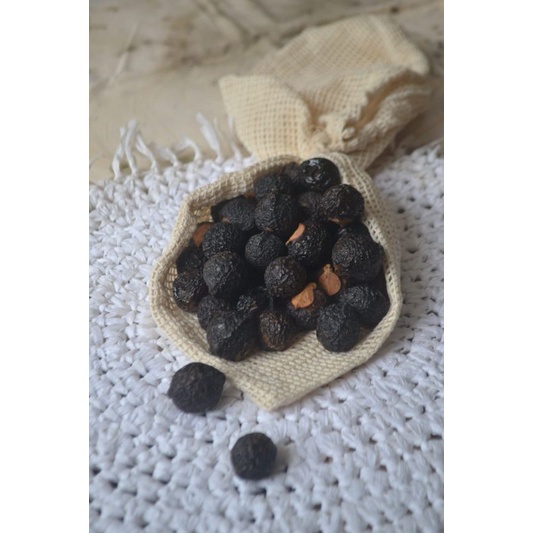 Jual [LERAK PADAT] Buah Lerak/ Soapberries/ Rerek/ Lamuran/ Sapindus ...