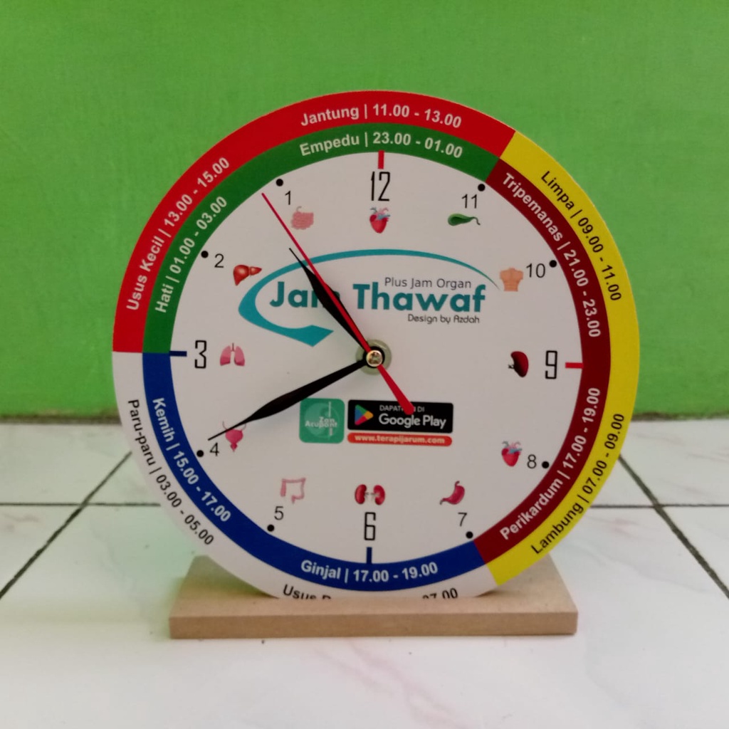 Jam Organ Tubuh Manusia dalam Teori Akupunktur - Terapi Jarum