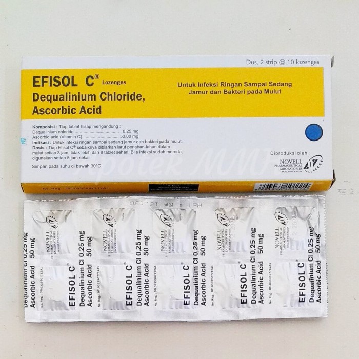 Jual Obat Sariawan Efisol-C 10 Tablet | Shopee Indonesia