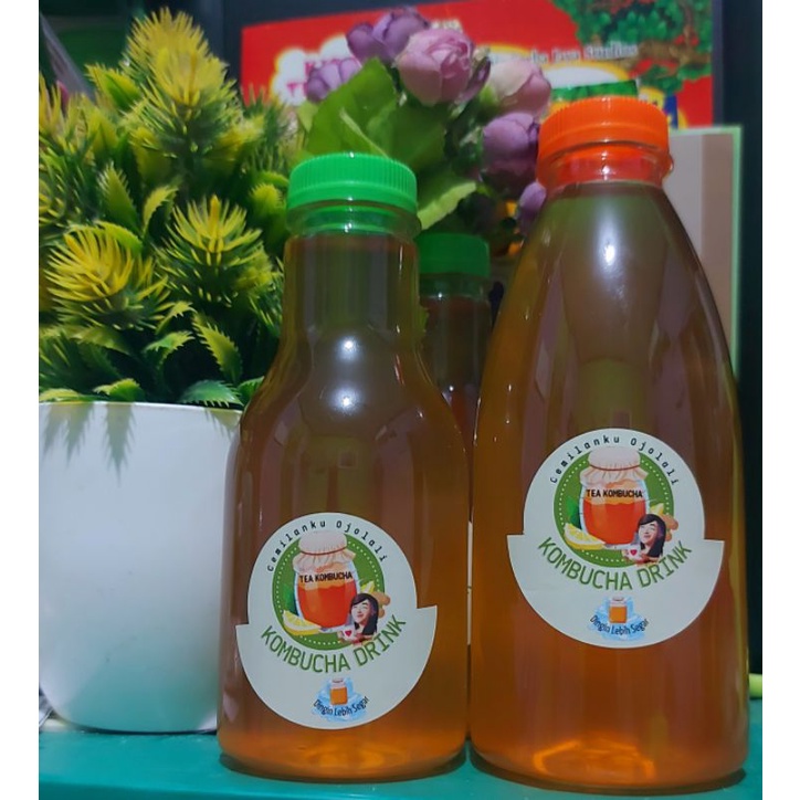Jual Tea Kombucha Original|| Minuman Sehat Kombucha||Minuman sehat ...