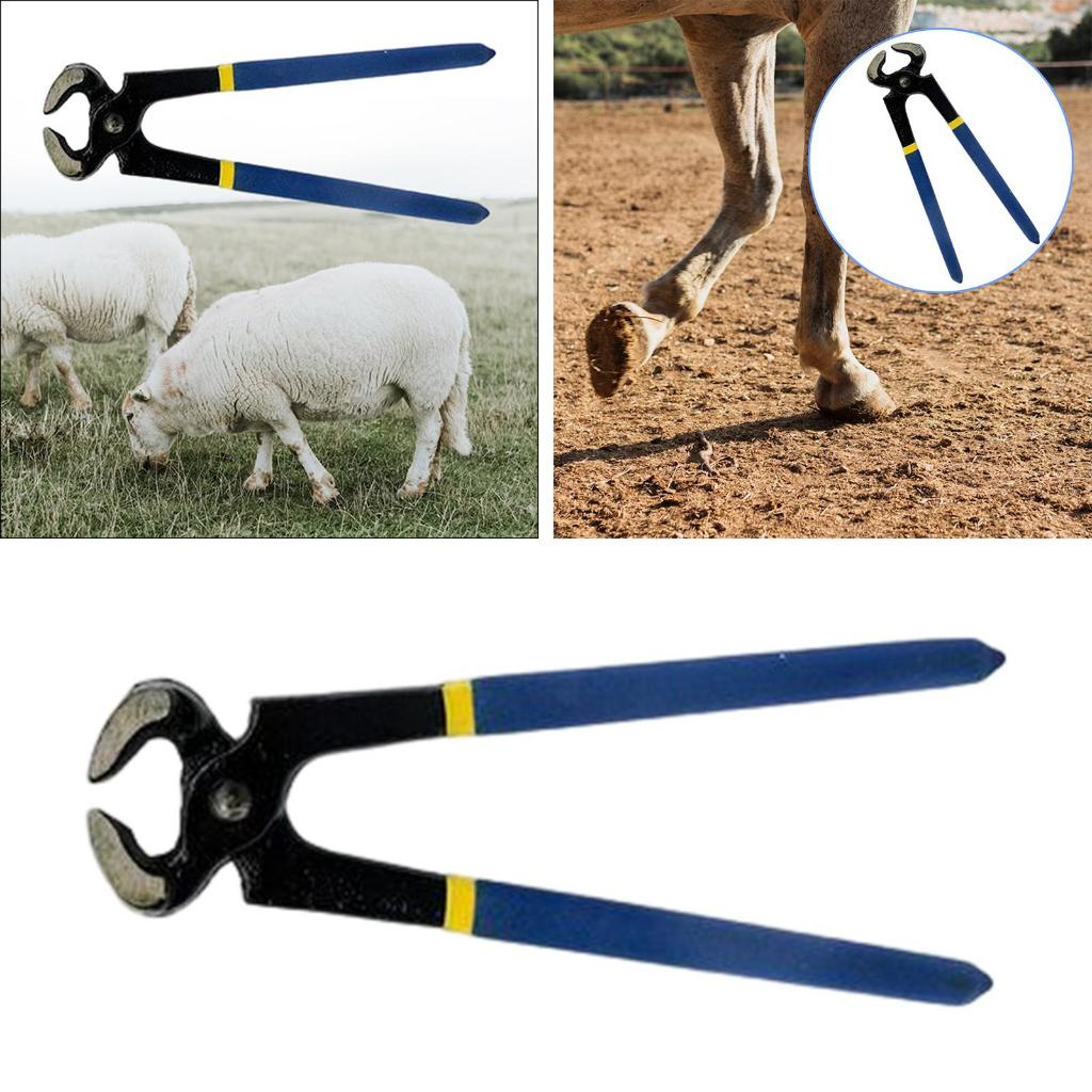 Jual Tang Potong Kuku Kambing Domba Kuda Panjang 20cm Best Seller ...