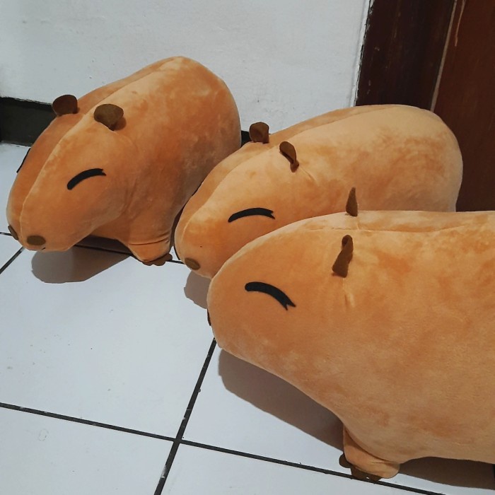 Jual Limited Jual Capybara Boneka Capybara 40Cm Capibara, Masbro Diskon ...
