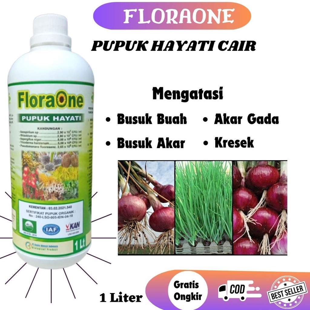 Jual Pupuk PGPR, Rhizobium Sp Cair Terbaik Masa Pertumbuhan Tanaman ...
