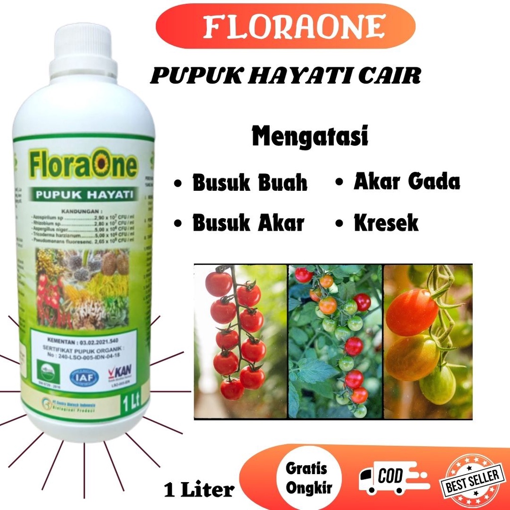 Jual PUPUK HAYATI CAIR, Pupuk Tricoderma Harzianum, Pupuk FLoraOne Atasi BUSUK AKAR, BUSUK BUAH ...