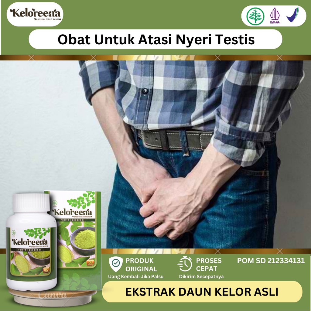 Jual Obat Testis Bengkak, Obat Buah Zakar Bengkak, Obat Nyeri Testis ... Jual Obat Testis Bengkak, Obat Buah Zakar Bengkak, Obat Nyeri Testis ...