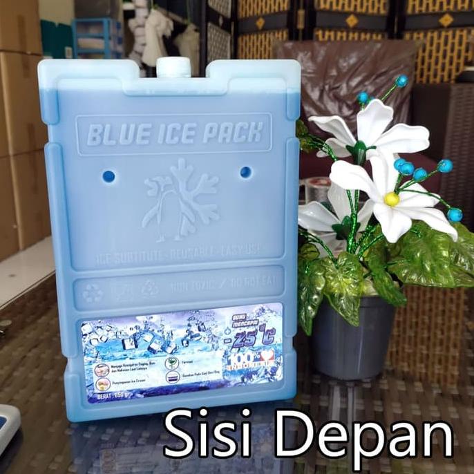 Jual Limited Ice Pack Kotak 850Gr Ice Pack Blue Pengganti Dry Ice ...