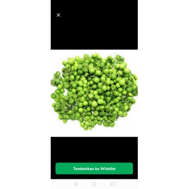 Jual [PALEMBANG] SAYUR LEUNCA 250 GRAM LALAPAN - SAYUR BUAH IKAN SEGAR ...