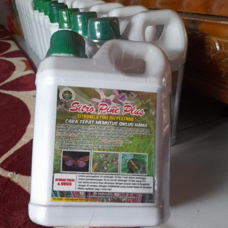 Jual Sitro Pine Plus (SPP) | Shopee Indonesia