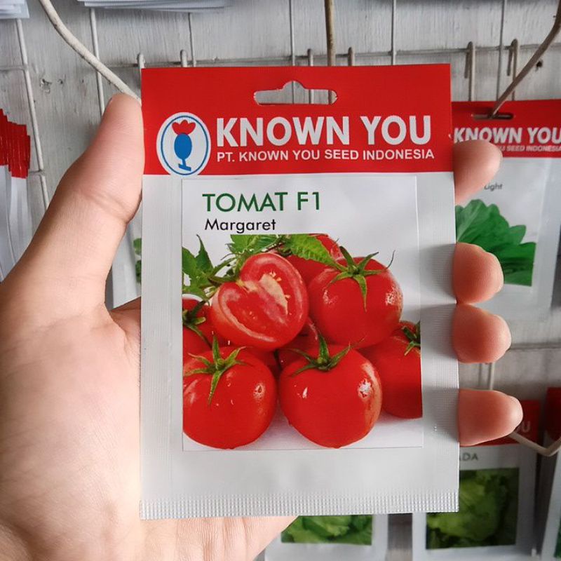 Jual Benih Tomat Besar Margaret F1 Isi 25biji - Tomat Beef | Shopee ...
