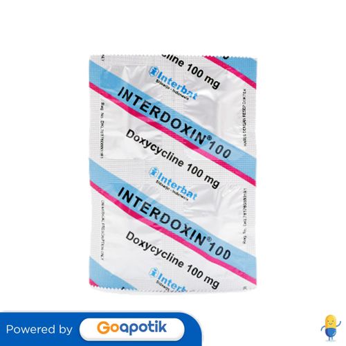 Jual INTERDOXIN 100 MG STRIP 4 KAPSUL | Shopee Indonesia