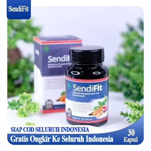 Jual Obat Herbal Untuk Pengapuran Tulang - Tulang Keropos - Patah ...