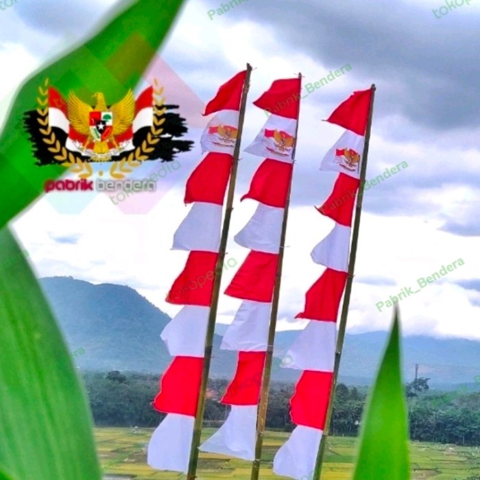 Jual Bendera Umbul Umbul Merah Putih Isi 10 Pcs Tantinseller | Shopee Indonesia