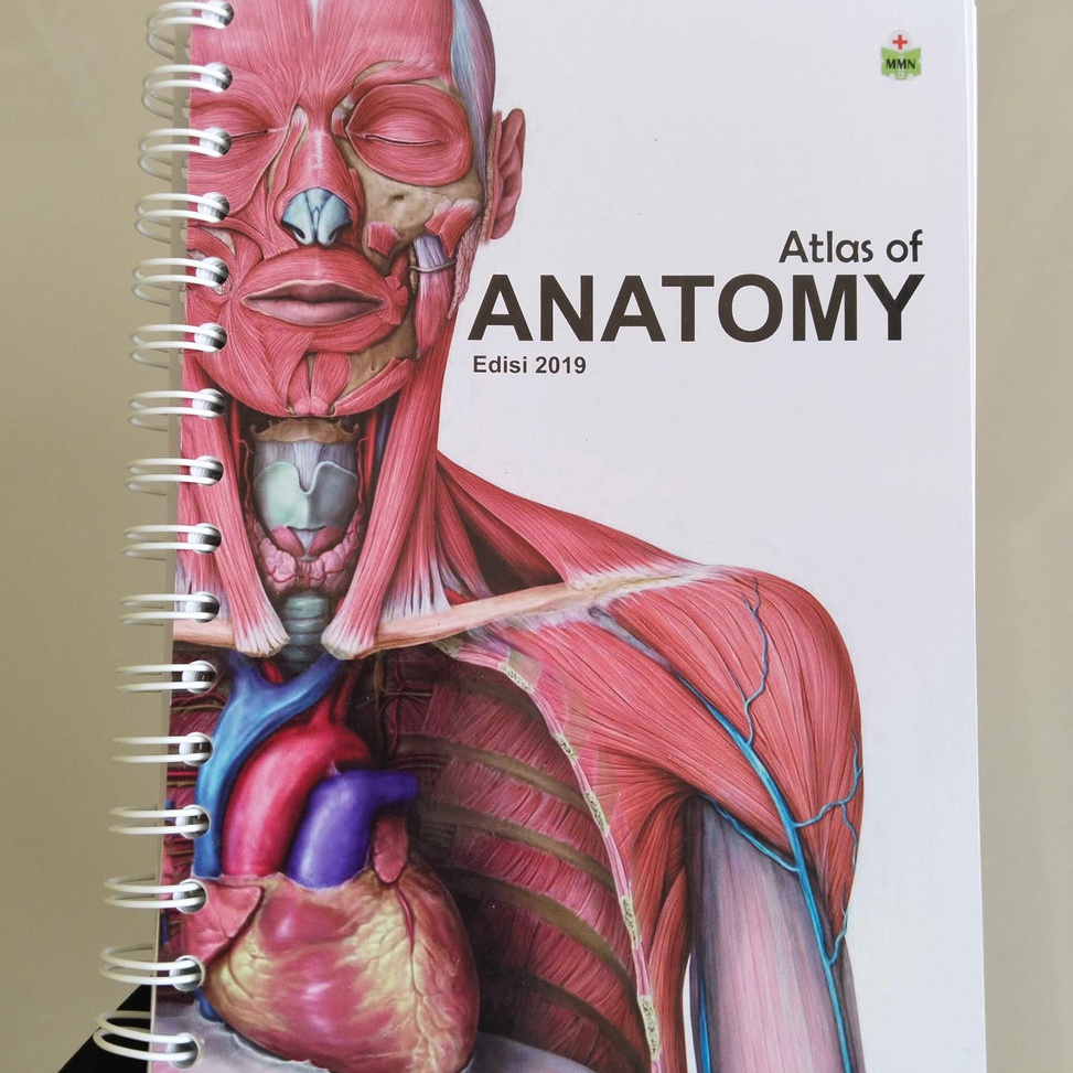 Jual 886091 Atlas of Anatomy MMN Buku Anatomi tubuh manusia Stock ...