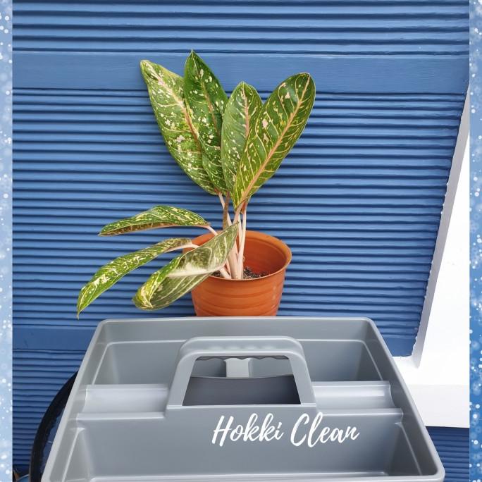 Jual CADDY CARRY HANDY CLEANING BUCKET TOOL BUCKET | Shopee Indonesia
