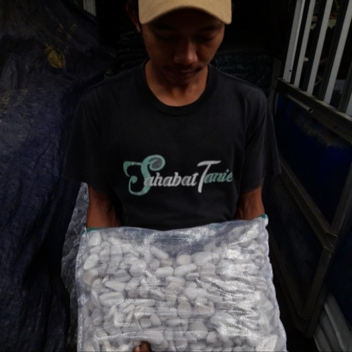 Jual batu koral putih 1karung 12kg - batu hiasan taman - batu taman ...