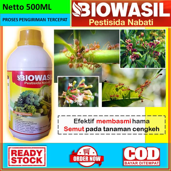 Jual OBAT ANTI HAMA SEMUT UNTUK TANAMAN CENGKEH [BIOWASIL] Obat Cair Pestisida Nabati Anti Hama ...