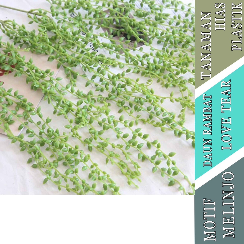 Jual Motif Melinjo- Daun Rambat- Love Tear- Tanaman Hias Plastik ...