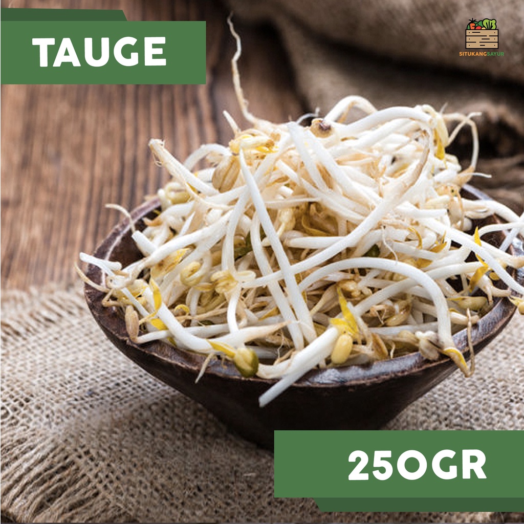 Jual Toge Putih | 250gr (Kota Bandung & Sekitar) | Shopee Indonesia