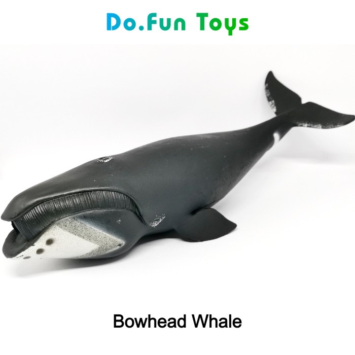 Jual Miniatur Bowhead Whale Animal Figure / Miniatur Ikan Paus Kelapa ...