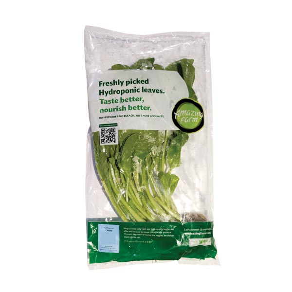 Jual AMAZING FARM CAISIM HYDROPONIK PACK | Shopee Indonesia
