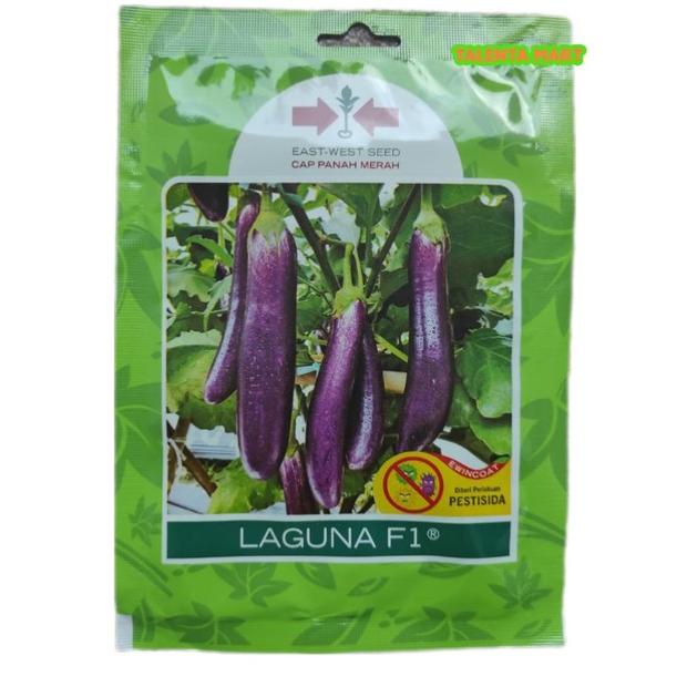 Jual Gogo Order 400 BUTIR BENIH TERONG UNGU LAGUNA F1 EXP 2024 | Shopee Indonesia