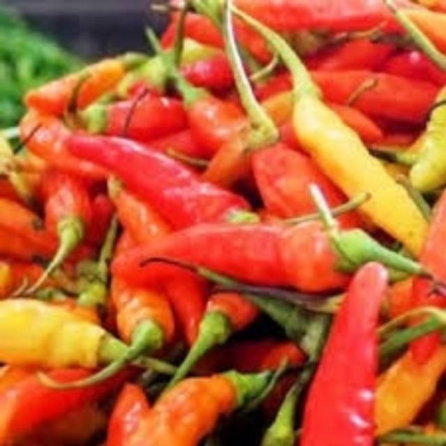 Jual [PALEMBANG] CABAI CABE BURUNG CABE SETAN RAWIT MERAH 100 GRAM ...