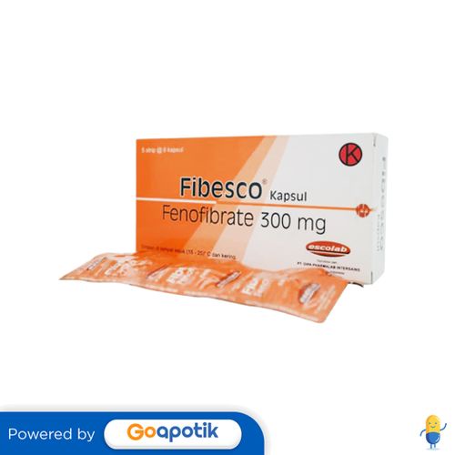 Jual FIBESCO 300 MG BOX 30 KAPSUL | Shopee Indonesia