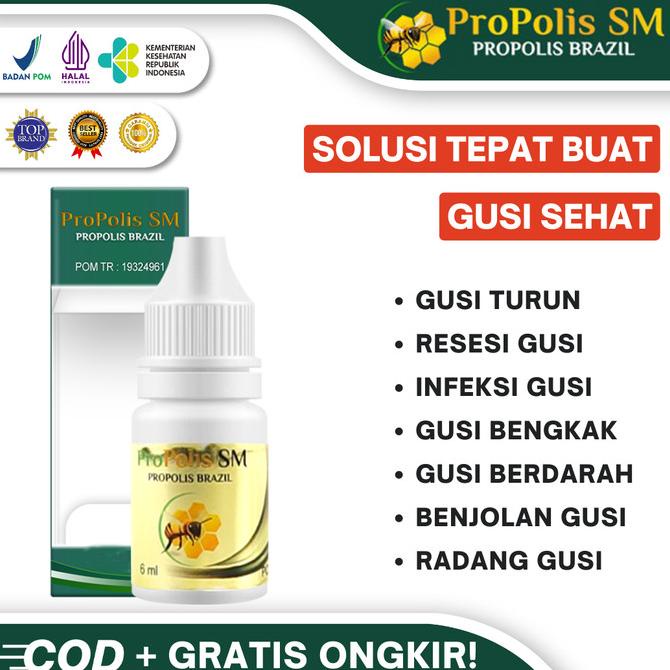 Jual OBAT GUSI TURUN HERBAL - RESESI GUSI - GIGI TURUN - PROPOLIS SM ...