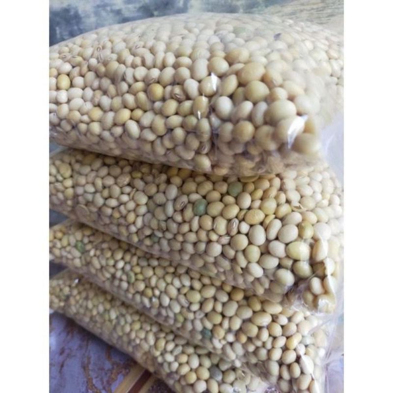 Jual 1 kg BENIH KEDELAI SUPER ,BENIH KACANG KEDELAI GROBOGAN SIAP TANAM ...