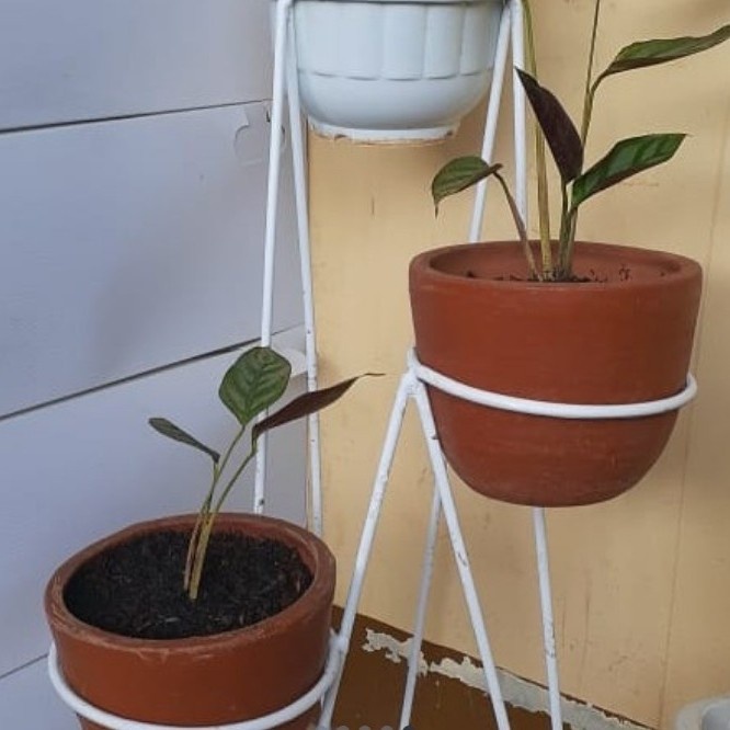 Jual Rak Besi Pot Bunga Tiga Lobang | Shopee Indonesia