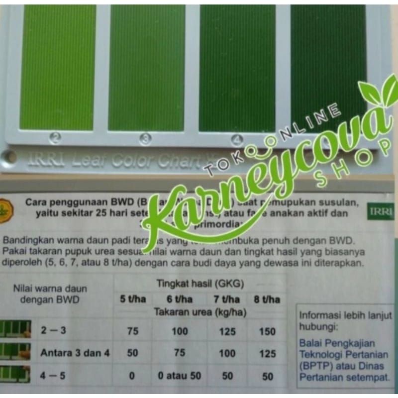Jual BWD Bagan Warna Daun Padi | Shopee Indonesia