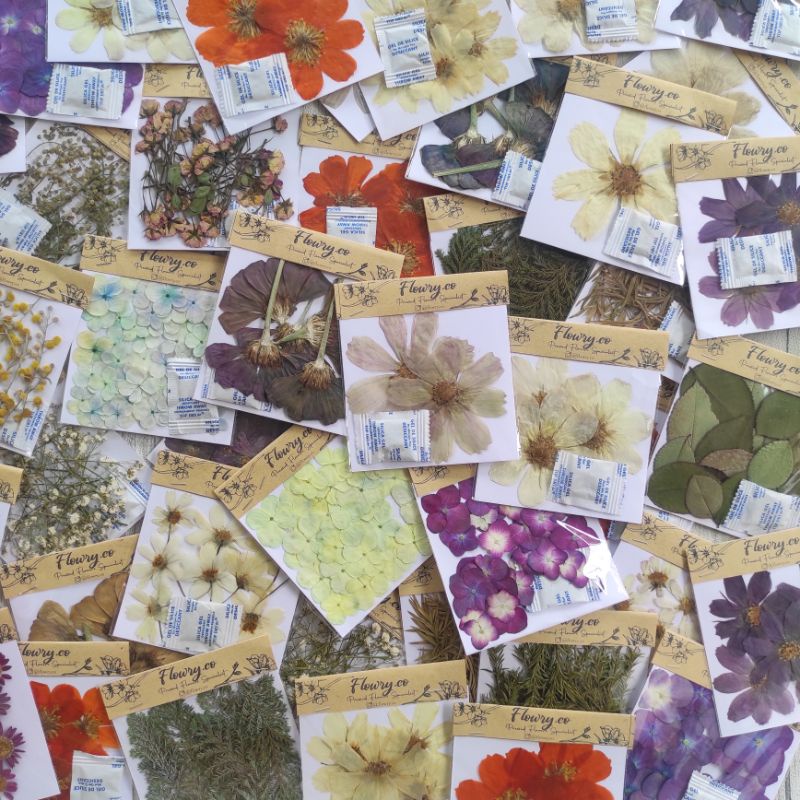 Jual 1 PACK pressed flower PART 1 bunga kering asli bahan diy craft ...