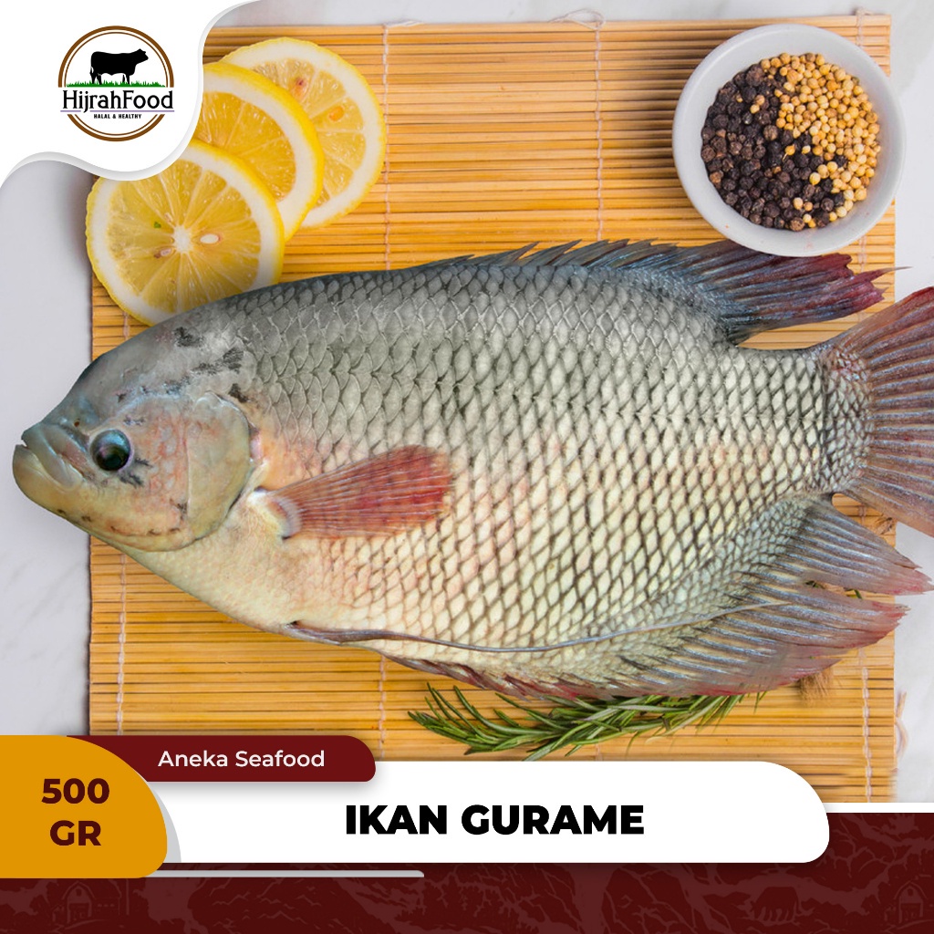 Jual Hijrahfood Ikan Gurame | Gourami Fish Frozen | Shopee Indonesia