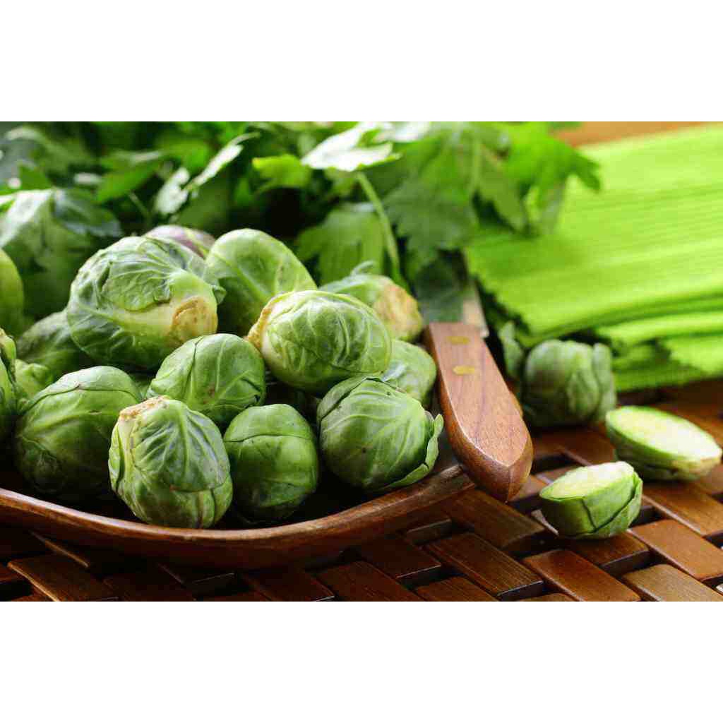 Jual 30 BUTIR BIJI / BENIH KUBIS KOL MINI BRUSSEL SPROUT | Shopee Indonesia