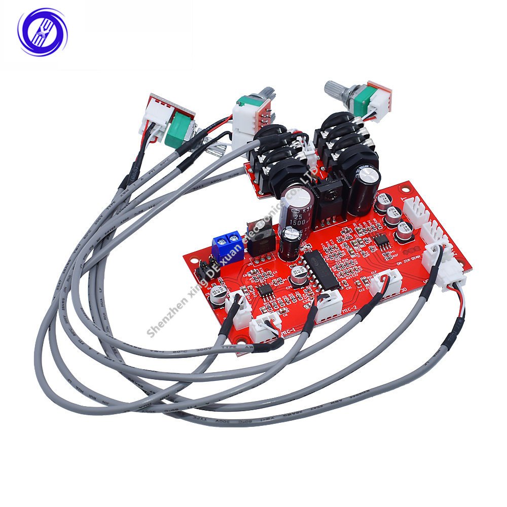 Jual &WAVGAT PT2399 Karaoke Reverb Board Home Theater Dynamic ...