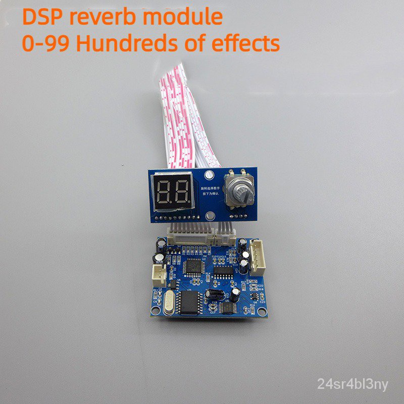 Jual &DSP Digital Reverb Module Karaoke Reverb Board KTV Mixer Effects ...