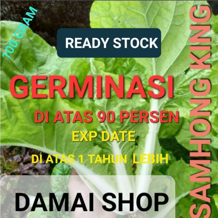 Jual BENIH SAYUR SAMHONG KING - SAWI KERITING ( 100 GRM ) ORIGINAL ...