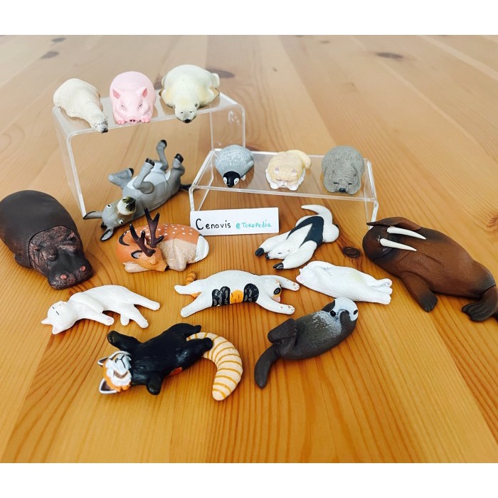 Jual Gashapon Sleeping Animals Split Zoozoozoo - Gachapon Gacha ...