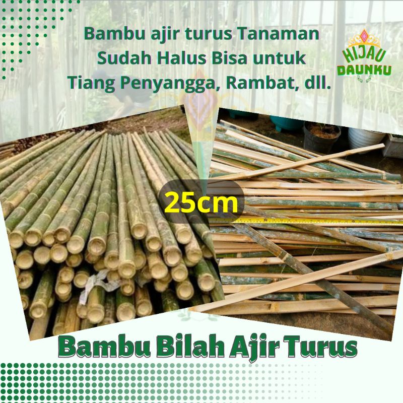 Jual Bambu Bilah Ajir Turus Pring Penyanggah Tiang Kebun Tanaman Rambat ...