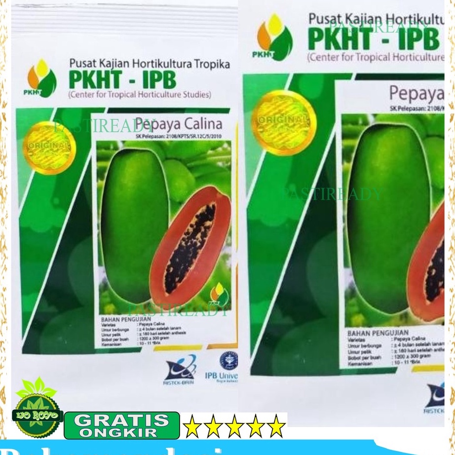 Jual DDU261 BENIH PEPAYA CALINA CALIFORNIA pkht IPB ISI 250 botani seed ...