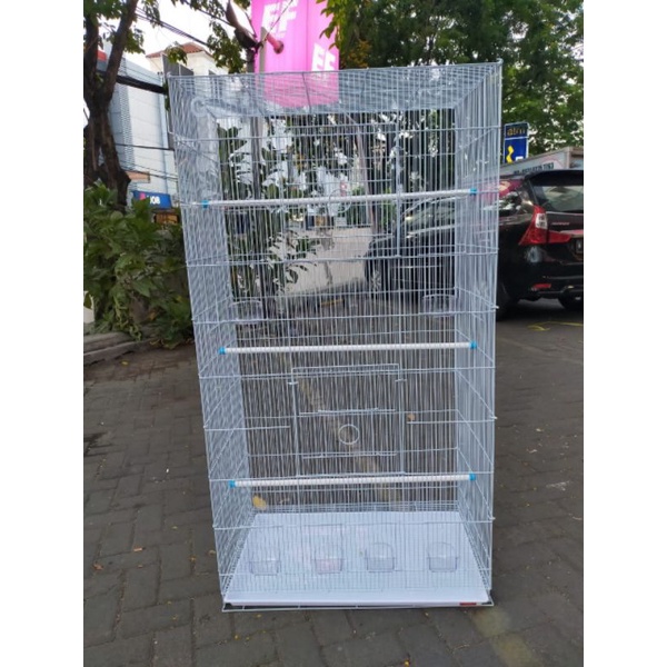 Jual Kandang fox Phd16 / kandang umbaran / kandang fox / kandang burung ...