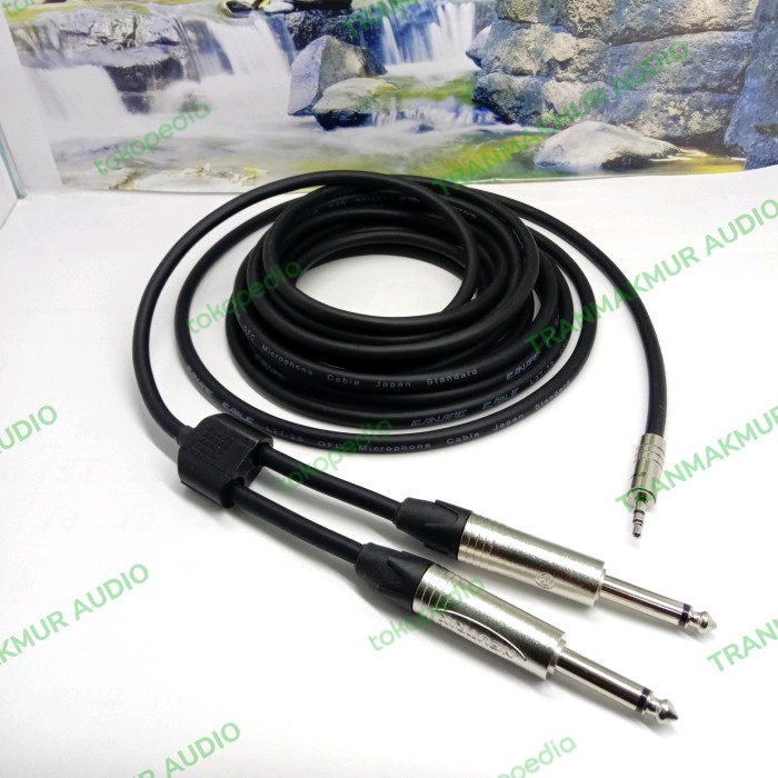 Jual Kabel Audio Aux Jack 3,5Mm Stereo To 6,5Mm 2 Akai Mono Canare Standar | Shopee Indonesia