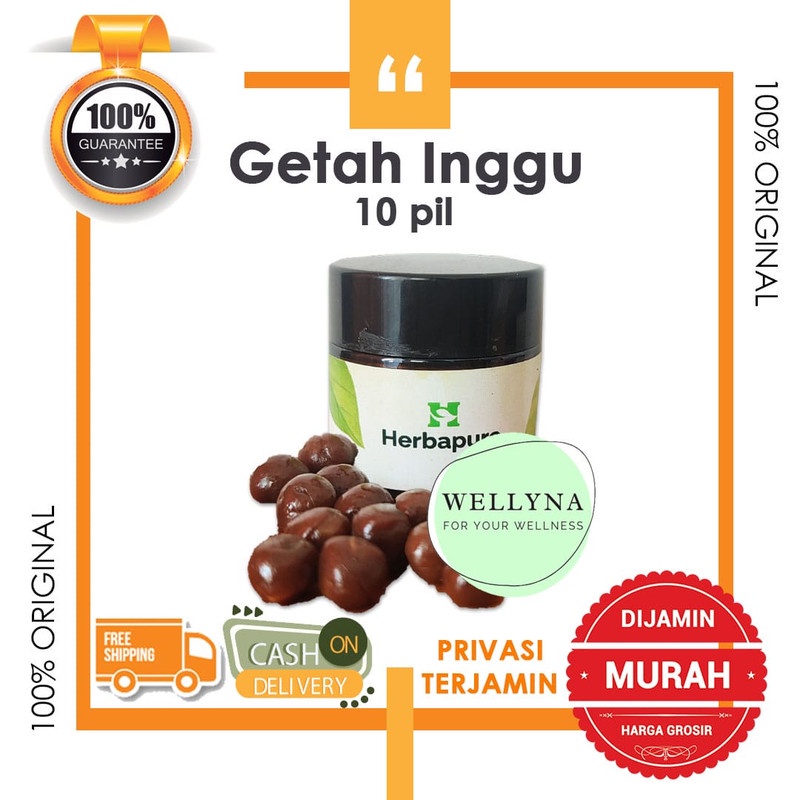 Jual ☘️Wellyna☘️ Pil Getah Inggu Asli Tanpa Campuran untuk Sakit Kepala ...