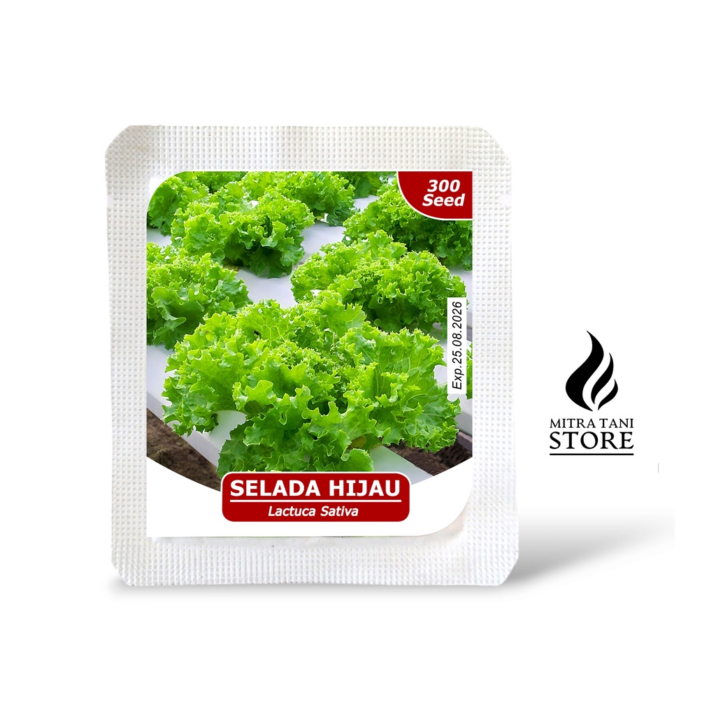 Jual Benih Selada Hijau Home Garden Seed 300 Butir | Shopee Indonesia