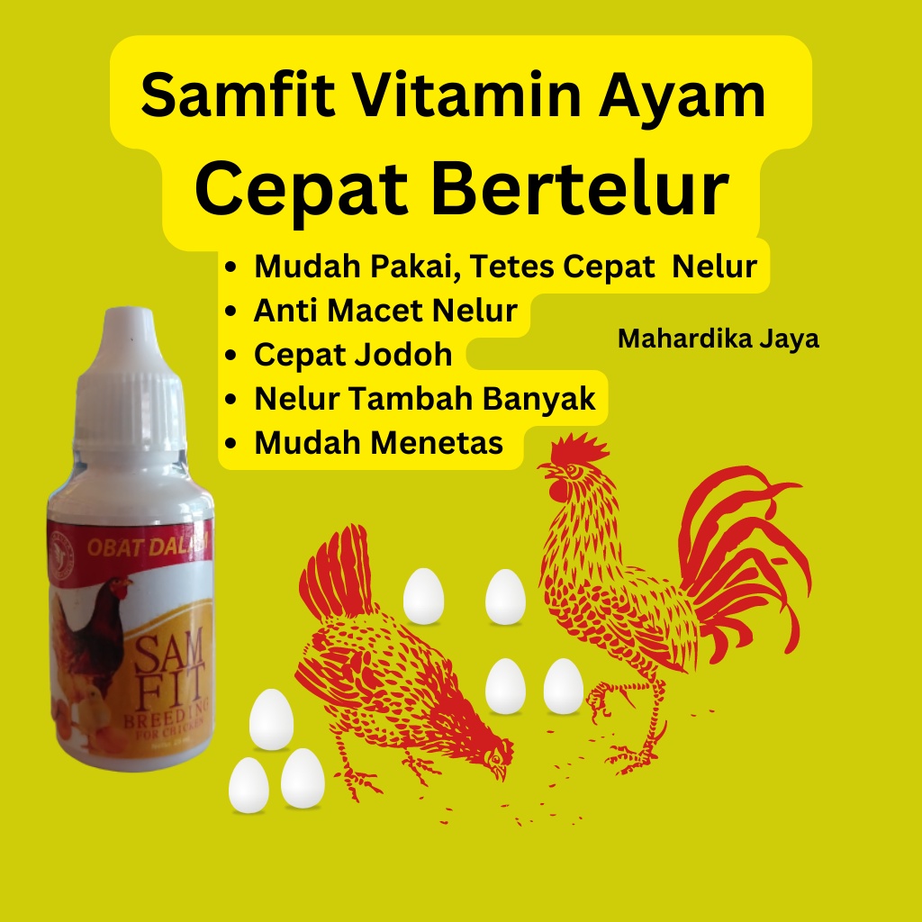 Jual Vitamin Ayam Cepat Bertelur Obat Birahi Anti Macet Nelur Ampuh ...